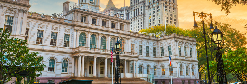 NYU Wagner alumni and educators joining New York City's new ...